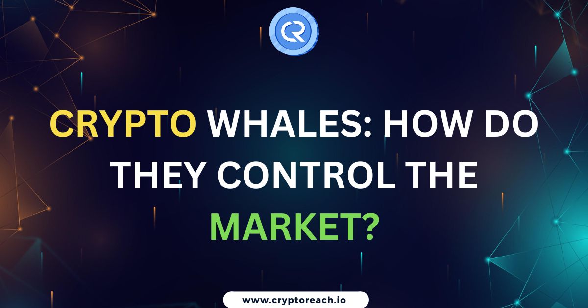 Crypto Whales: How Do They Control the Market? - Cryptoreach